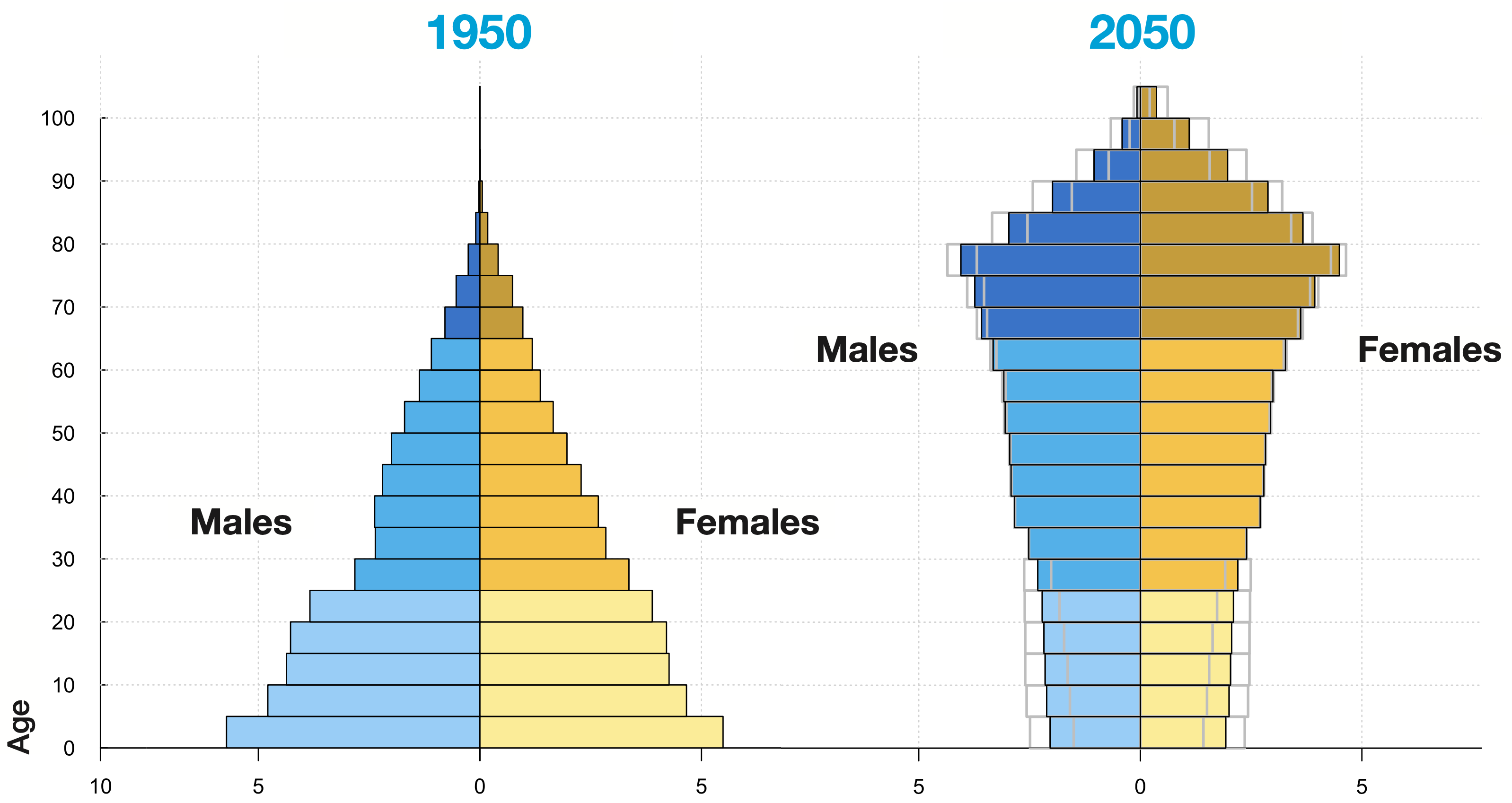 Japan Story | Taking Action for a Super-Elderly Society